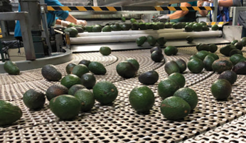 West Pak Avocado Grows a Ripe 3PL Partnership - Inbound Logistics