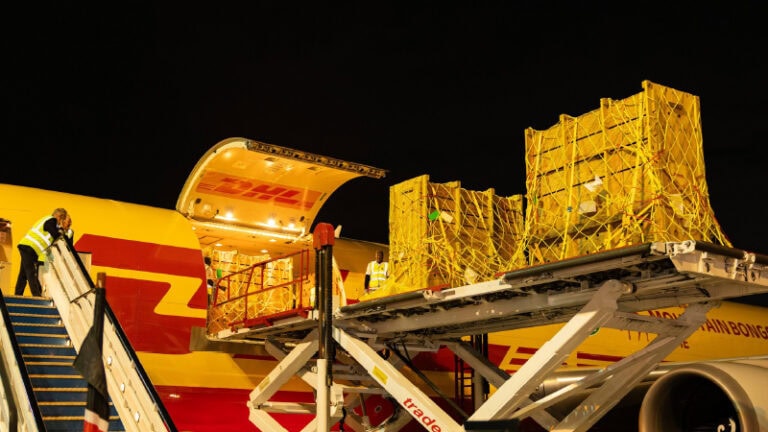 Specialized Transportation Logistics: A Guide to Unique Freight Shipping