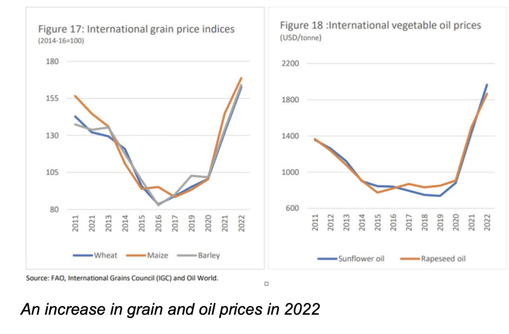The Global Food Crisis and Technologies That Help to Cope with its ...