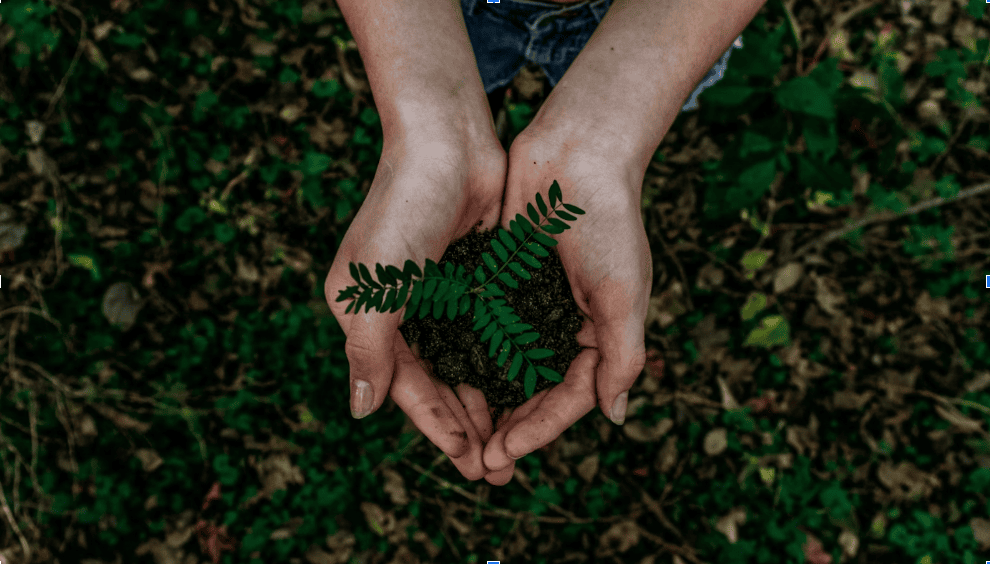 Carbon-Neutral Shipping: Definition, Process & Benefits | Inbound Logistics