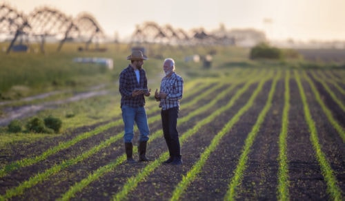 VERTICAL FOCUS: Agriculture/Bulk Agriculture Commodities - Inbound ...